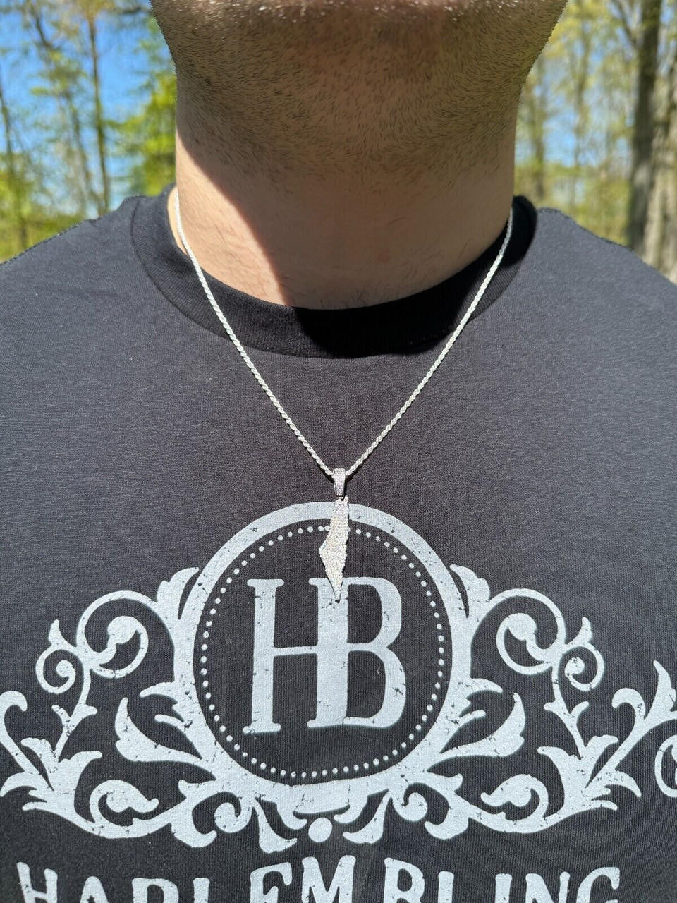 MOISSANITE Real 925 Silver / Gold Israel Palestine Map Necklace Pendant ...